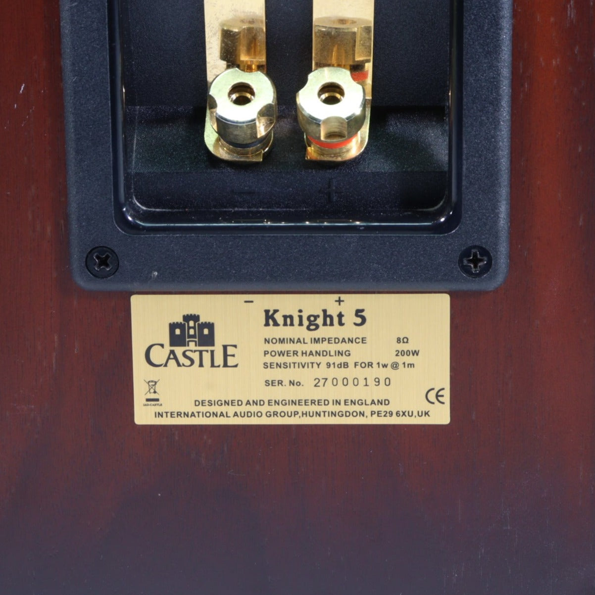 Castle Knight 5 Tower Speaker Pair (CRACKED FOAM) (MISSING STANDS)