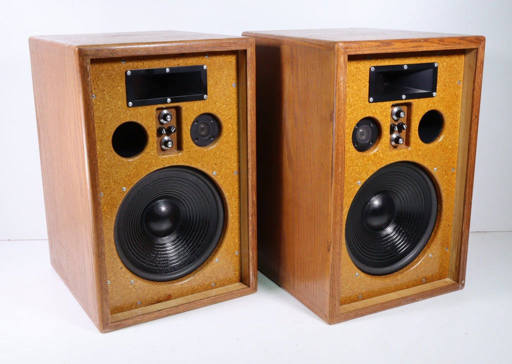Homemade Horn Tweeter Speakers (Pair)