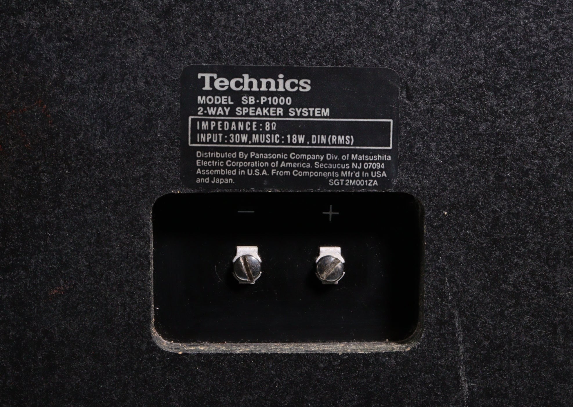 Technics SB-P1000 Linear Phase 2-Way Speaker Pair