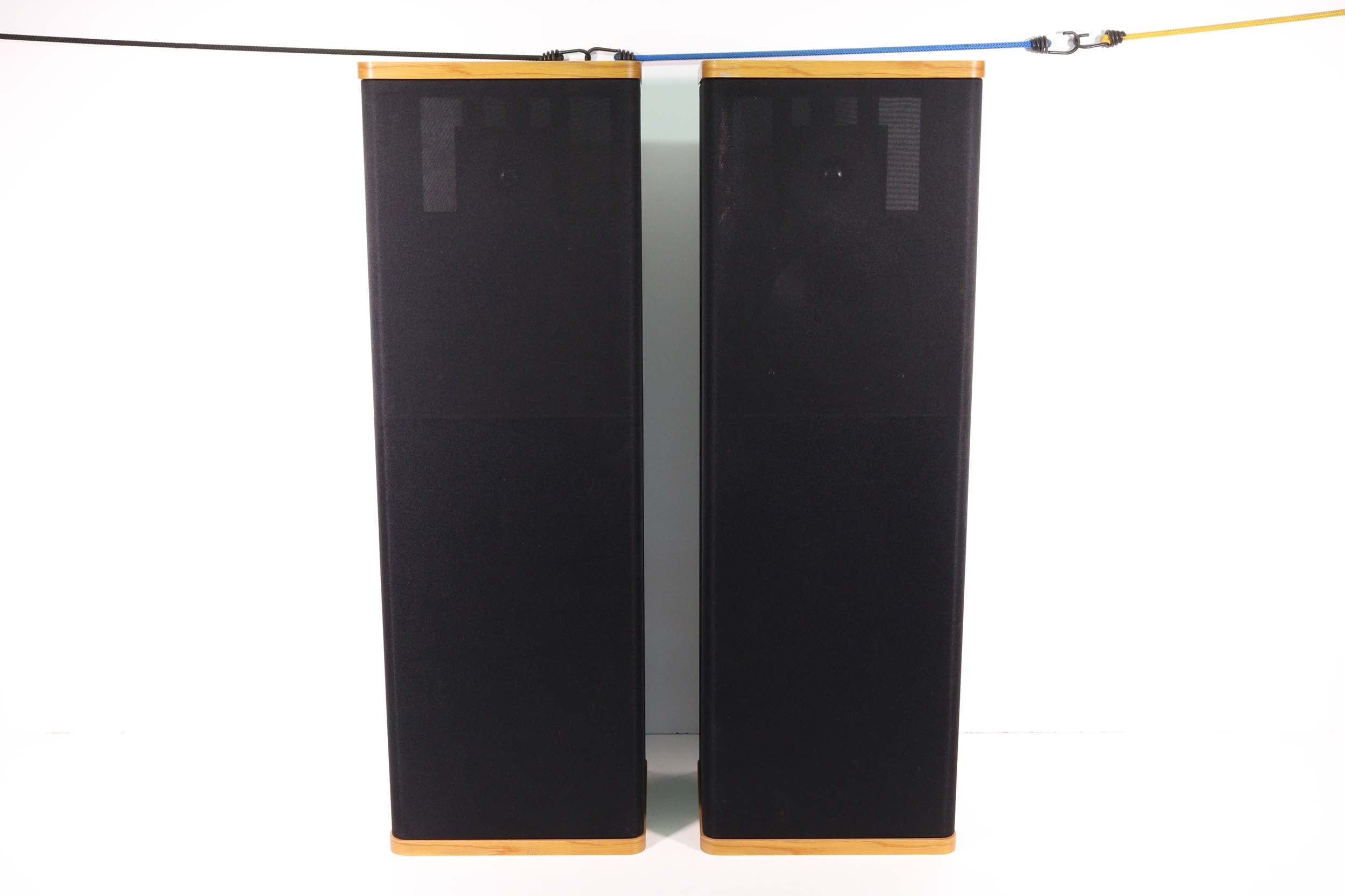 VANDERSTEEN Model 1 Speaker Towers (With Stand)